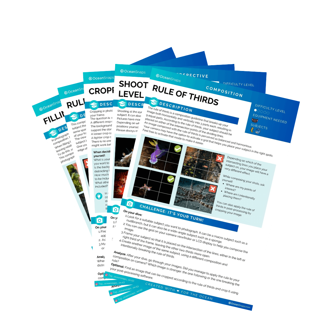 Underwater Photo Challenge Cards » OceanSnaps